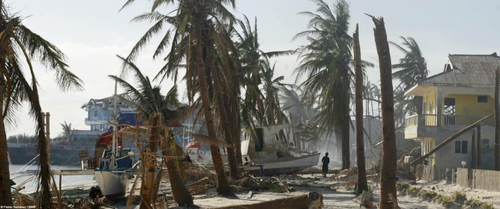 About Us - WWF - Environment & Disaster Management