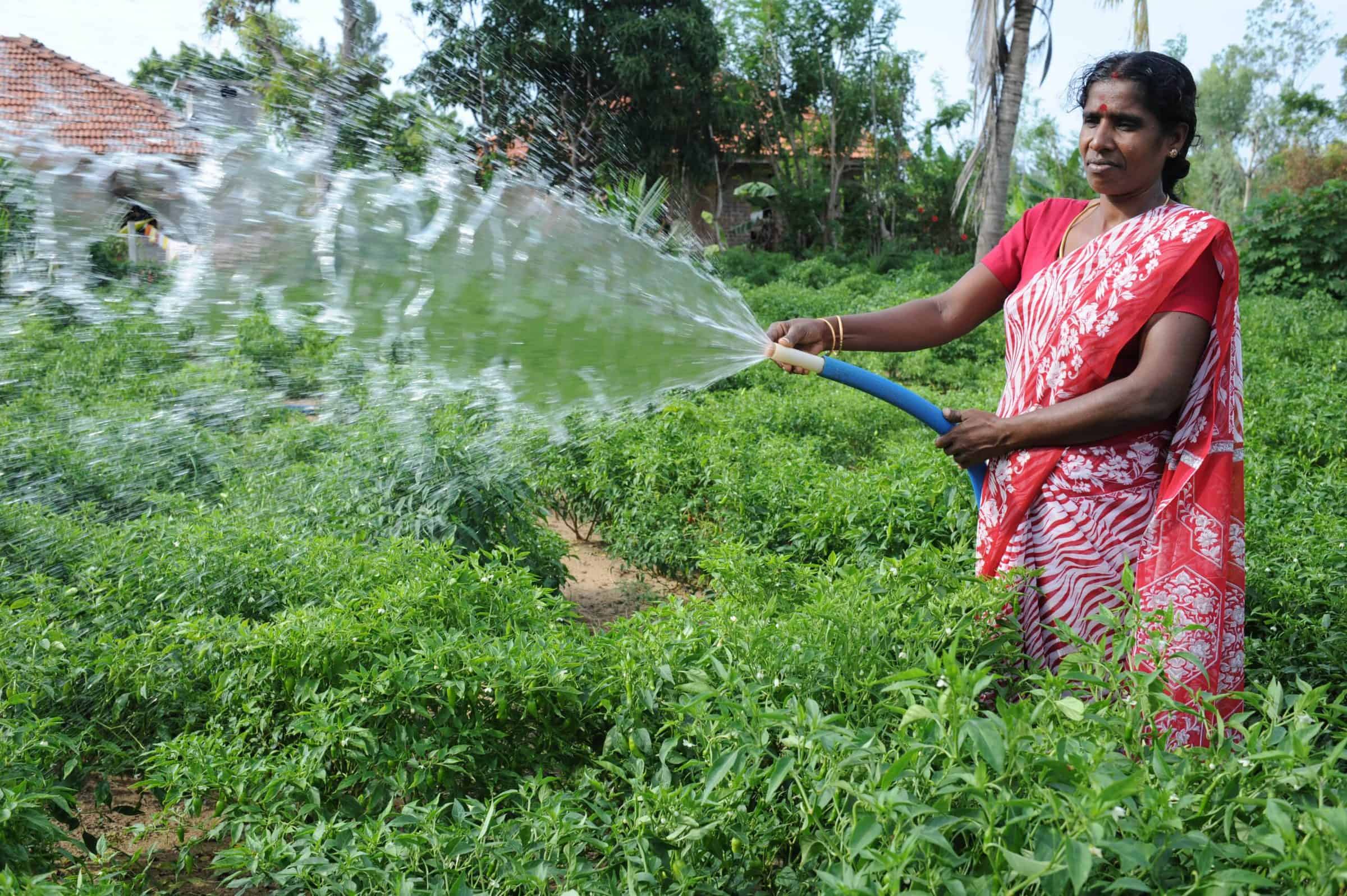 Green Recovery - WWF - Environment & Disaster Management