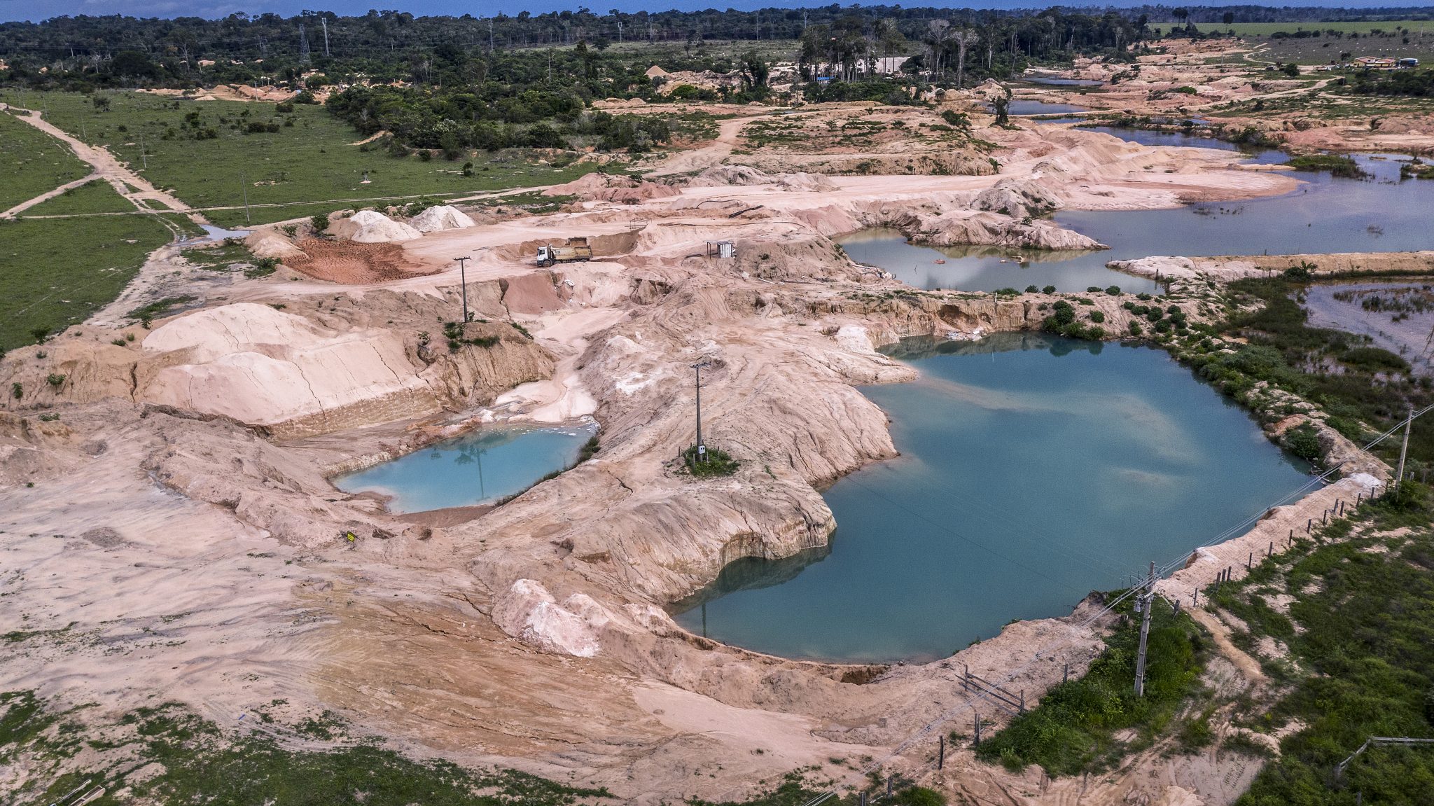 WWF - Environment & Disaster Management